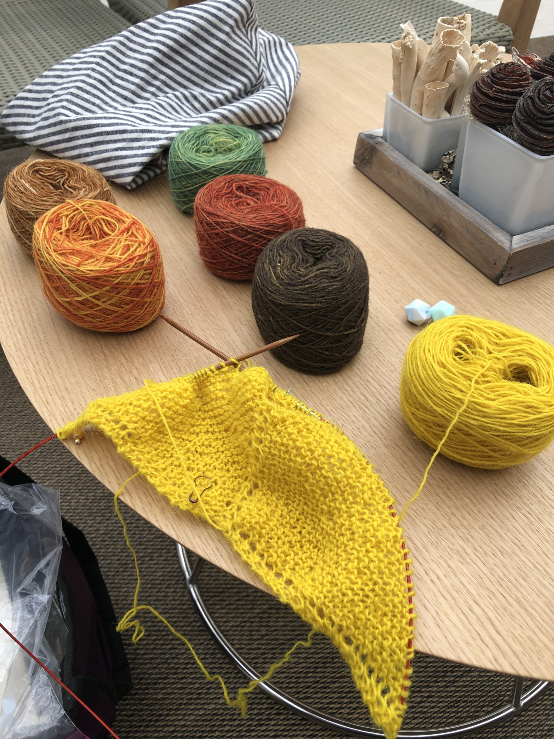 Cruise knitting – The Knitting Doctor